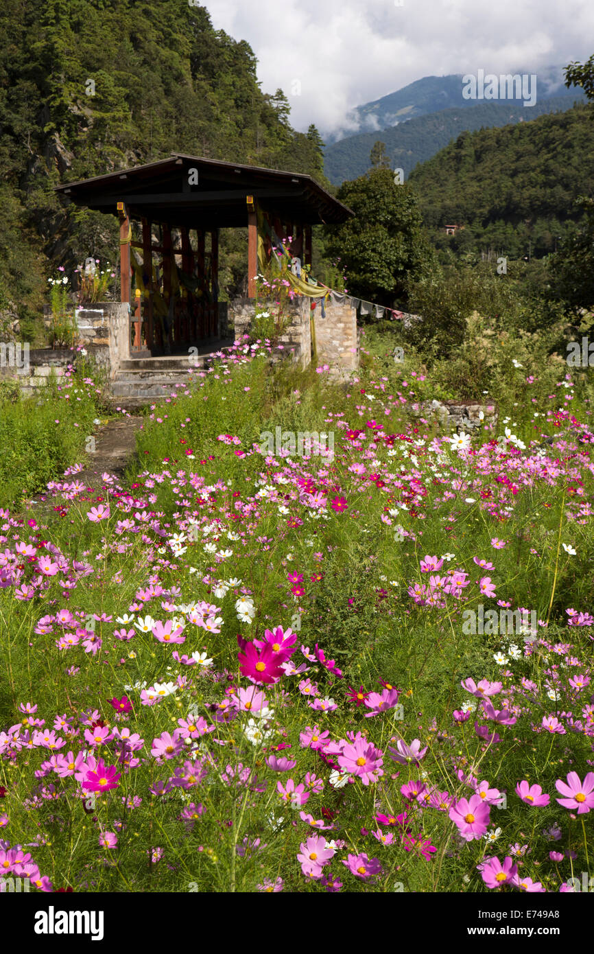 Buddhist cosmos hi-res stock photography and images - Alamy