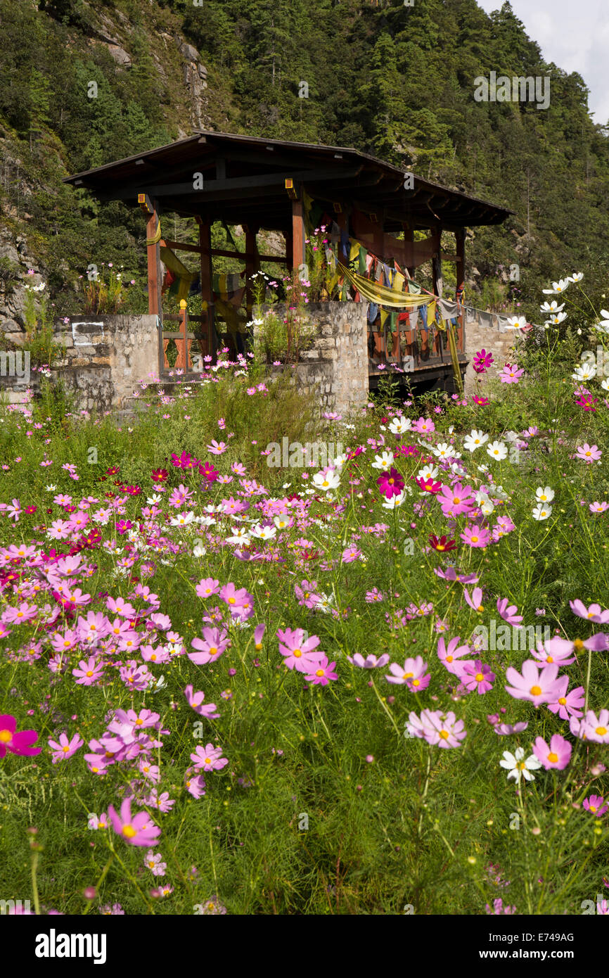 Buddhist cosmos hi-res stock photography and images - Alamy