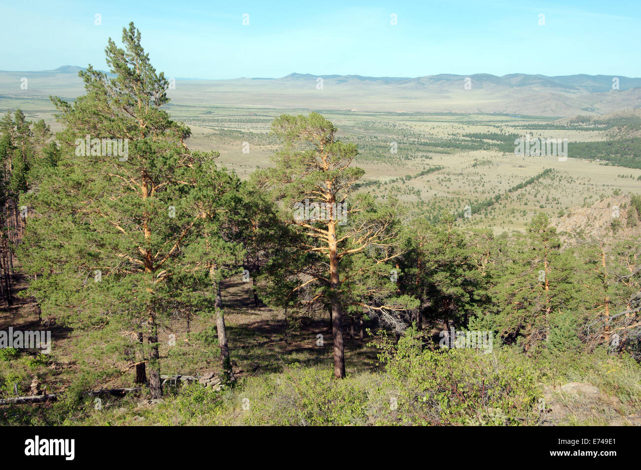 Merkit tract, Buryatia, Siberia, Russian Federation Stock Photo - Alamy