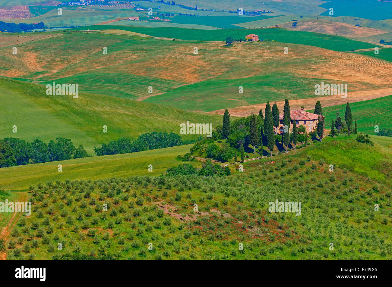Val d´Orcia, Orcia Valley, Fields and Farmhouses, Tuscany Landscape ...