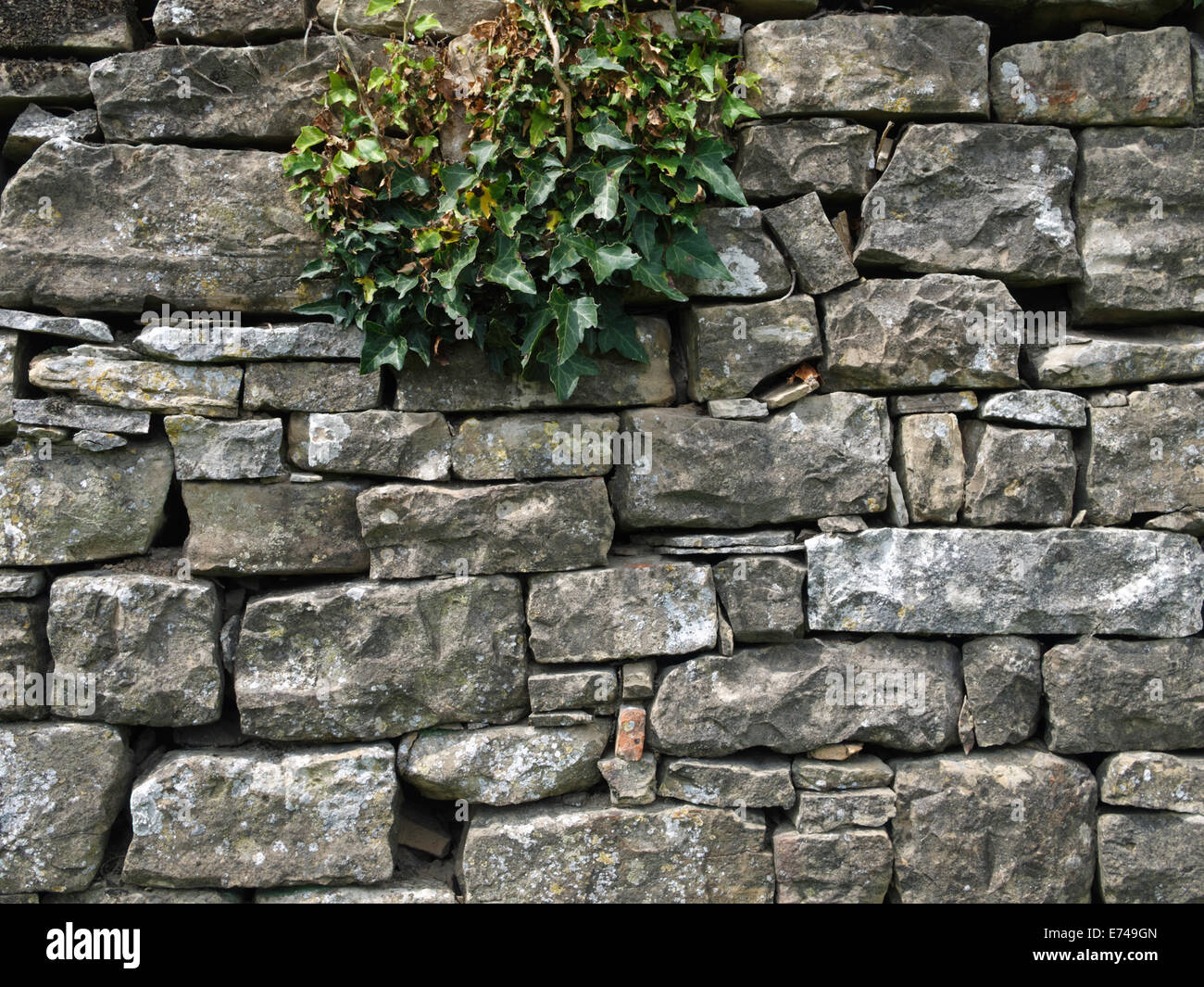 Detail of traditionally built stone wall from Istria, Croatia Stock ...