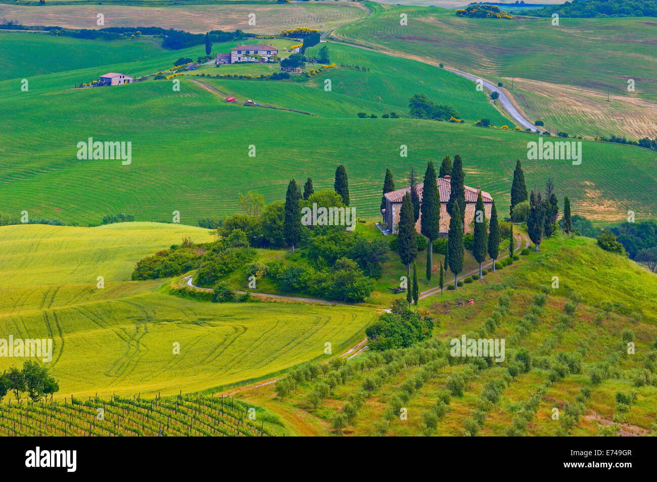 Val d´Orcia, Orcia Valley, Fields and Farmhouse, Tuscany Landscape ...