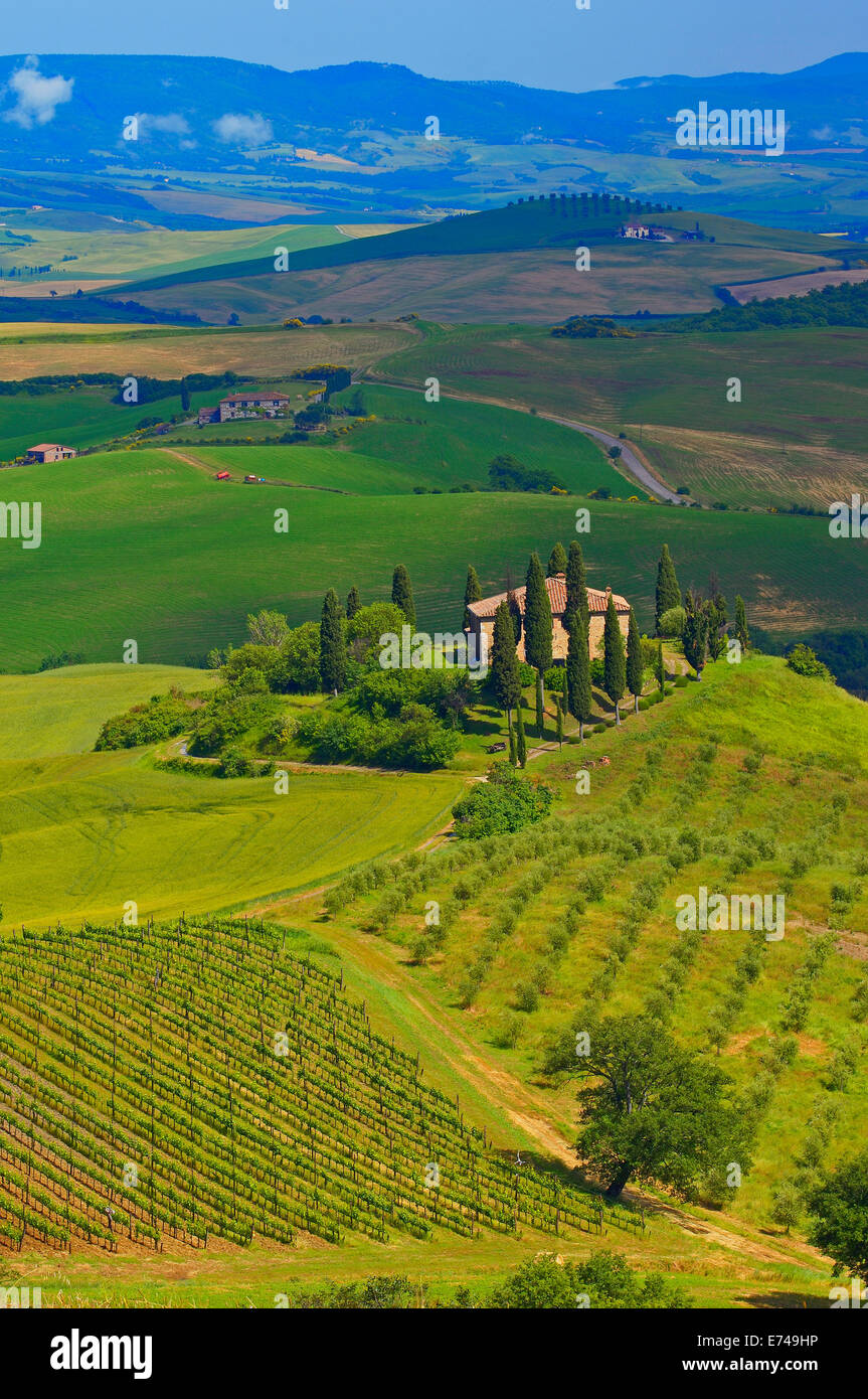 Val d´Orcia, Orcia Valley, Fields and Farmhouse, Tuscany Landscape ...