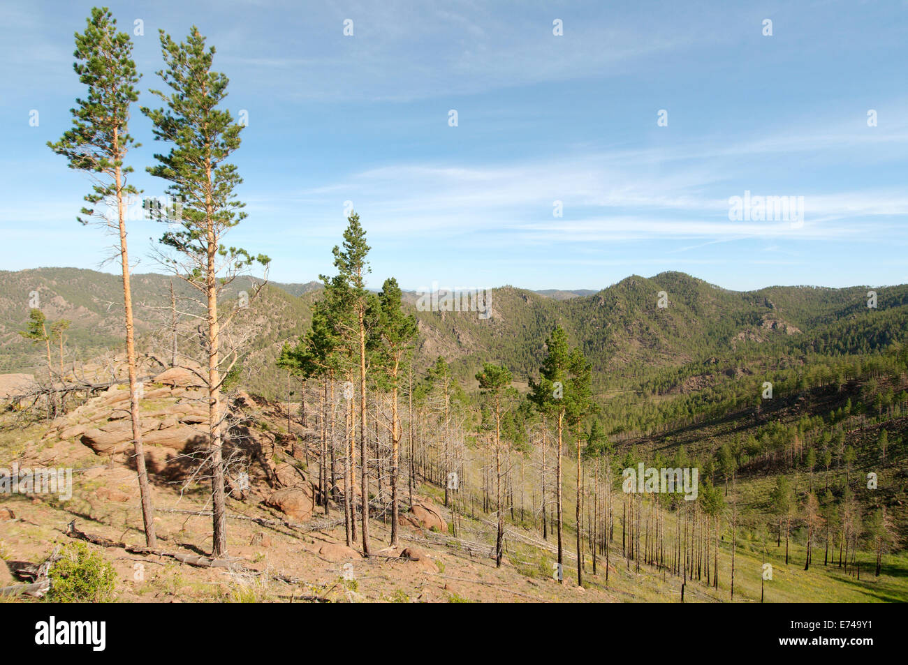 Merkit tract, Buryatia, Siberia, Russian Federation Stock Photo - Alamy