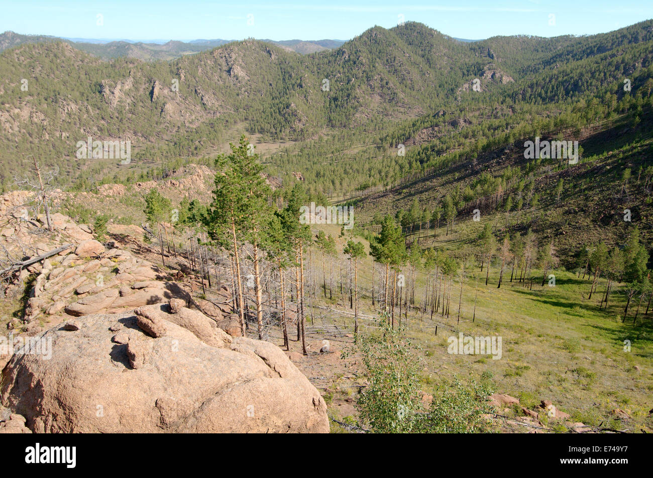 Merkit tract, Buryatia, Siberia, Russian Federation Stock Photo - Alamy