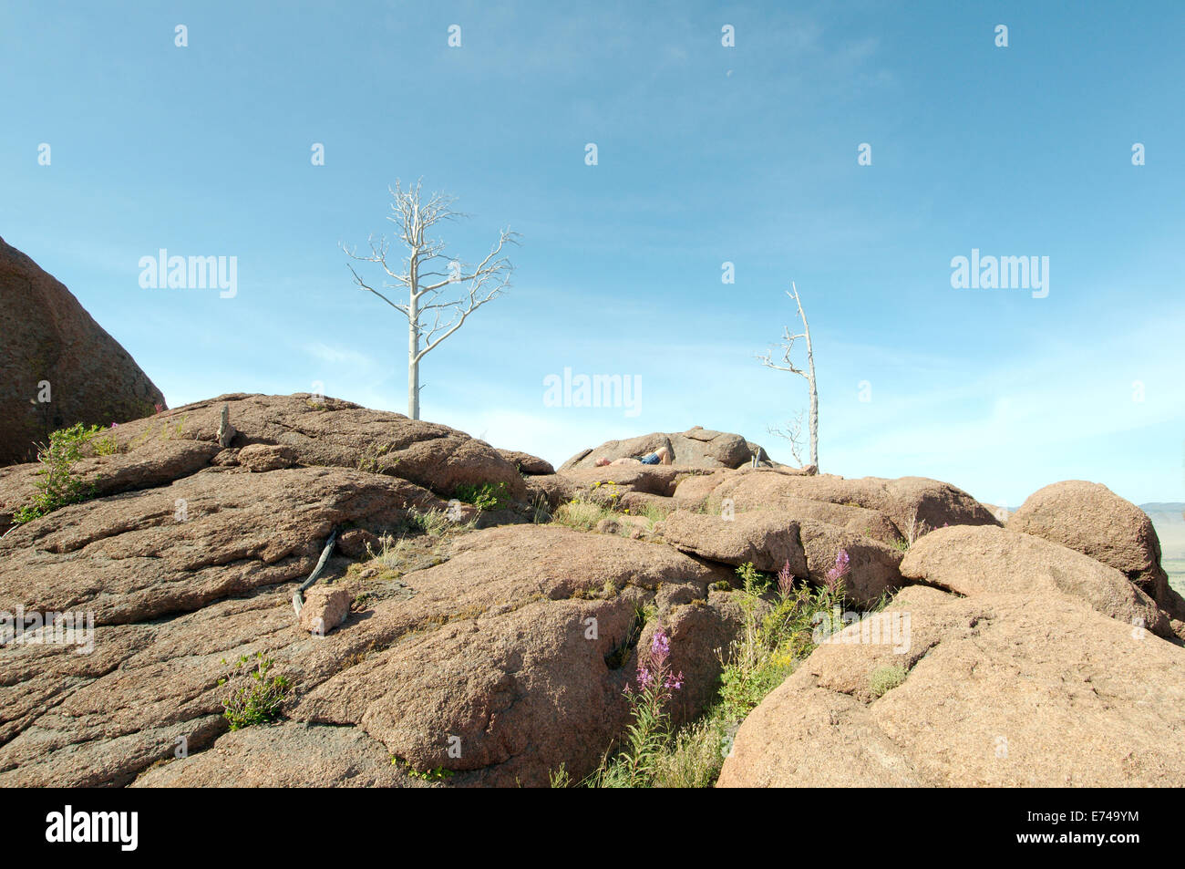 Mergid hi-res stock photography and images - Alamy