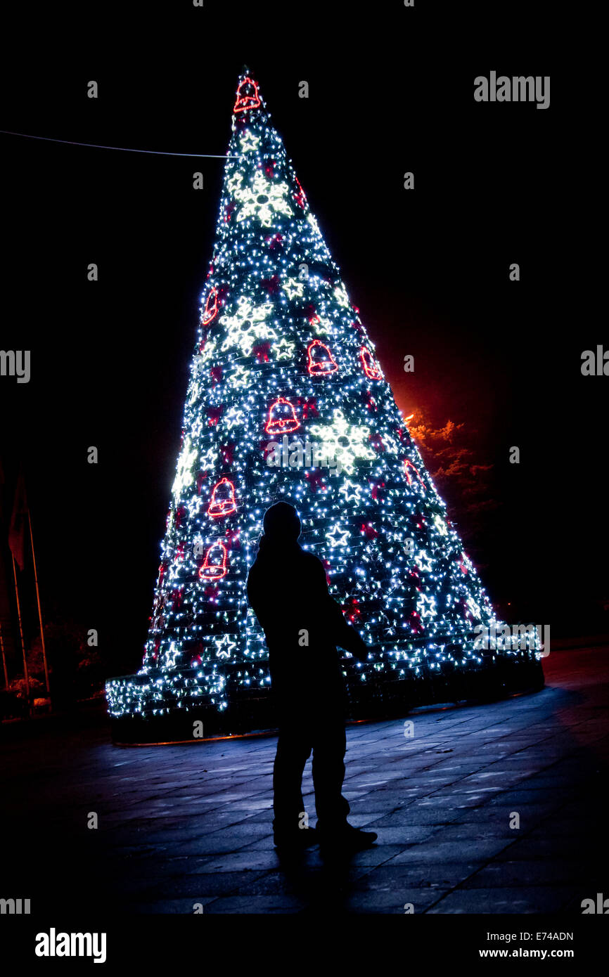 Family tree people figure hi-res stock photography and images - Alamy