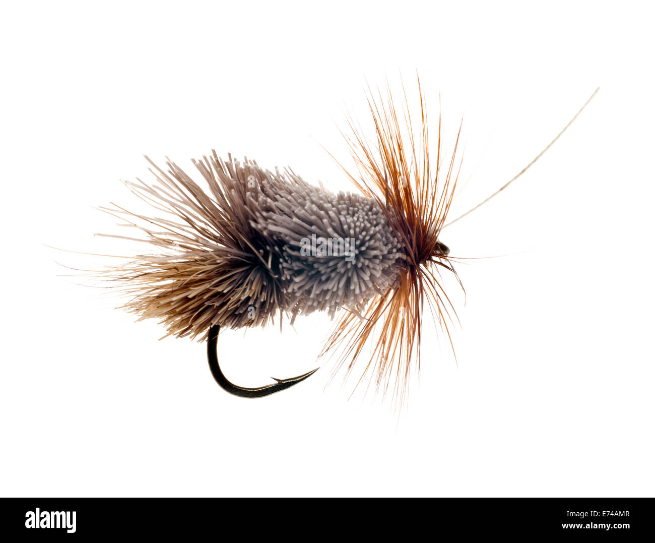 Fishing Fly isolated on a white background Stock Photo - Alamy