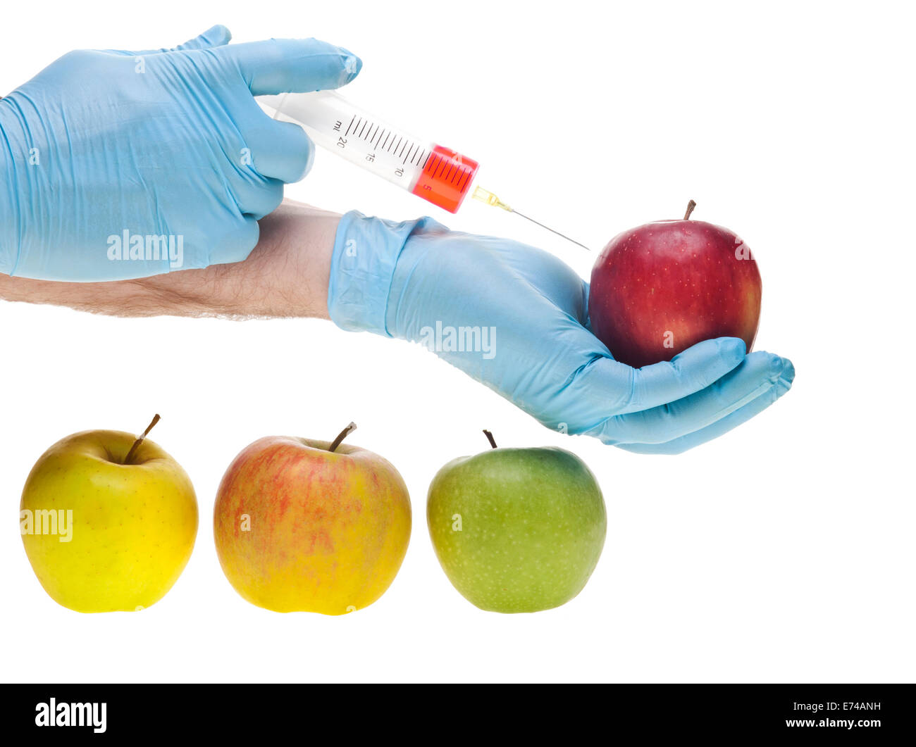 Genetic experiment with four different sorts of apples Stock Photo - Alamy