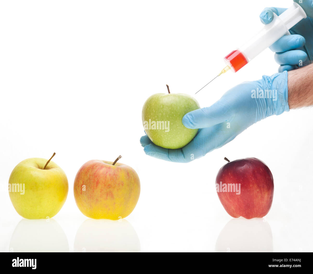 Genetic experiment with four different sorts of apples Stock Photo - Alamy