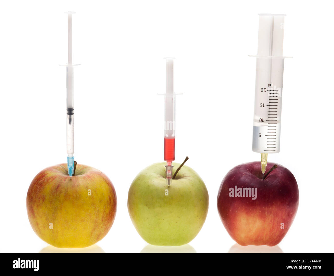 Genetic experiment with three different sorts of apples Stock Photo - Alamy