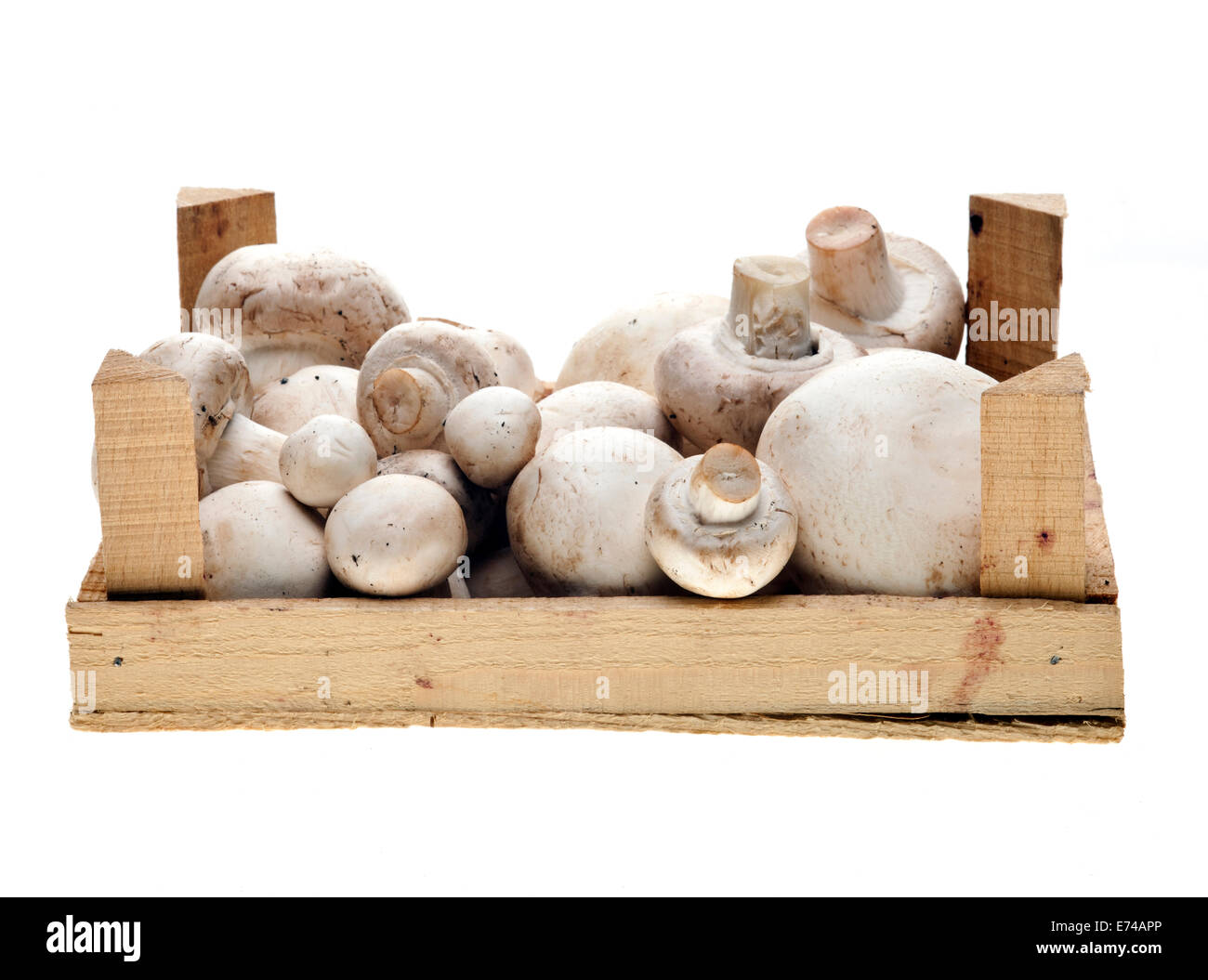 Button or champignon mushrooms in a crate isolated on white Stock Photo ...