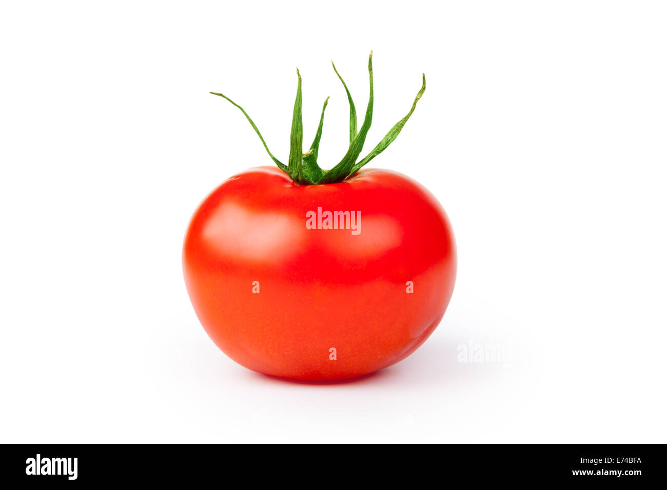 Tomato plant isolated hi-res stock photography and images - Alamy