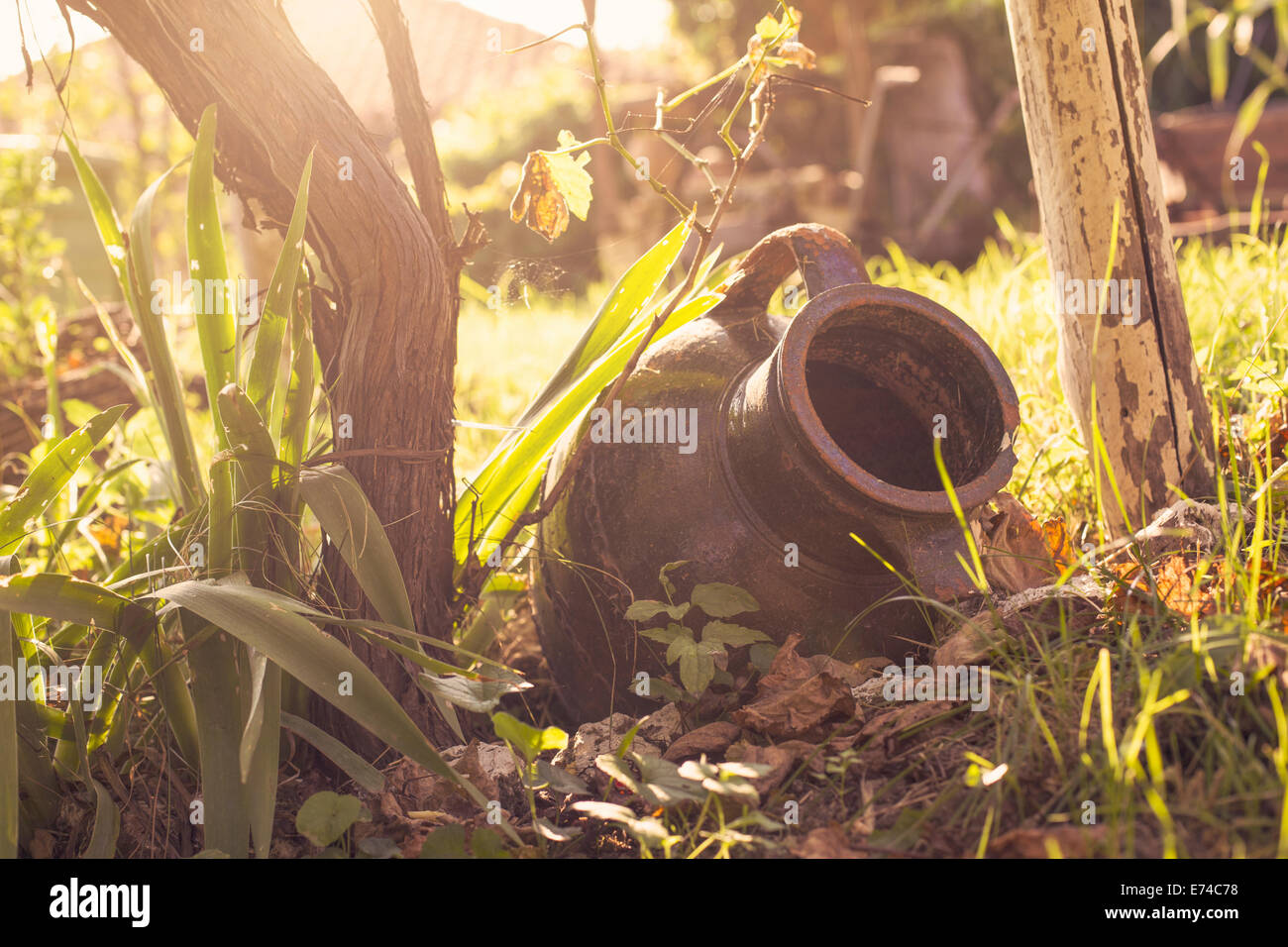 Old terracotta pot hi-res stock photography and images - Alamy
