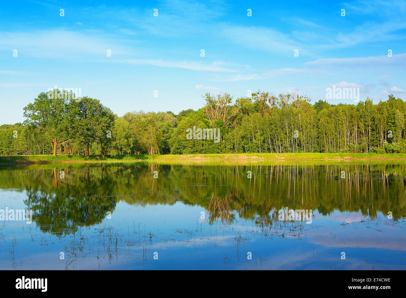 View of the lake Stock Photo - Alamy