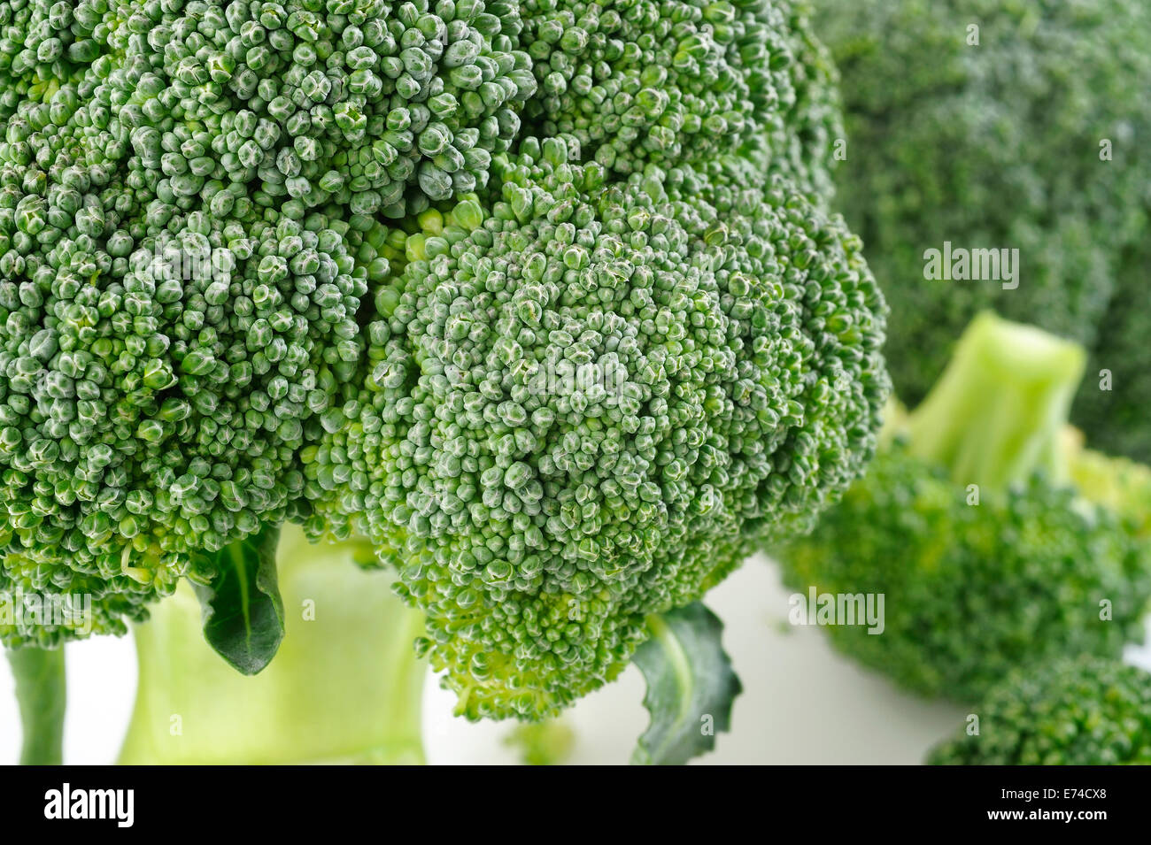 broccoli vegetable on white background Stock Photo - Alamy