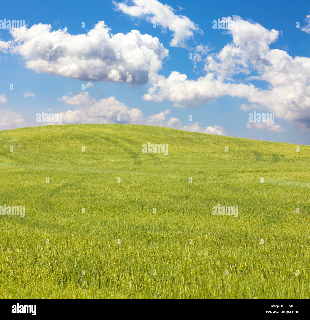 Catalonia nature hi-res stock photography and images - Alamy