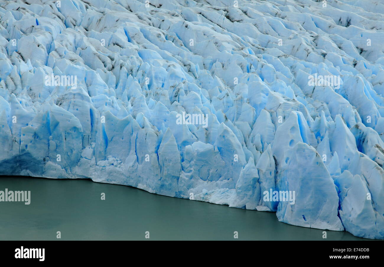 A wall of ice on the front of the heavily crevassed Glacier Grey in ...