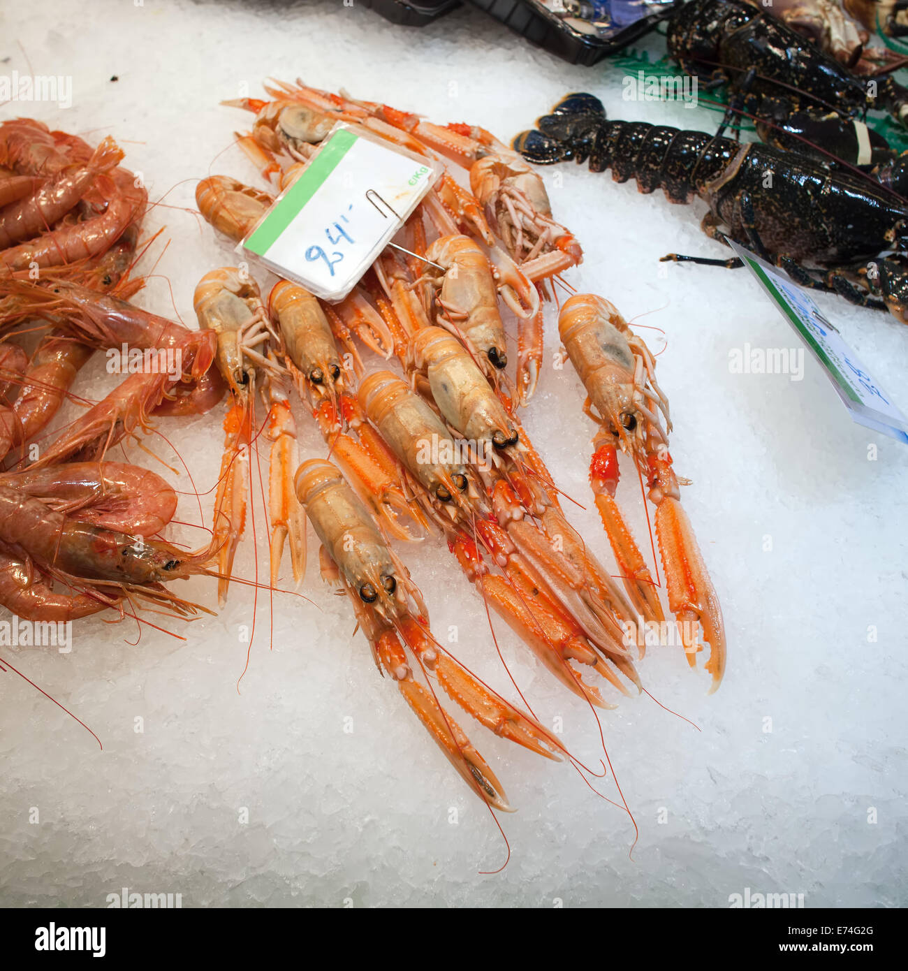 Seafood - raw, fresh prawns on a food market stall Stock Photo - Alamy