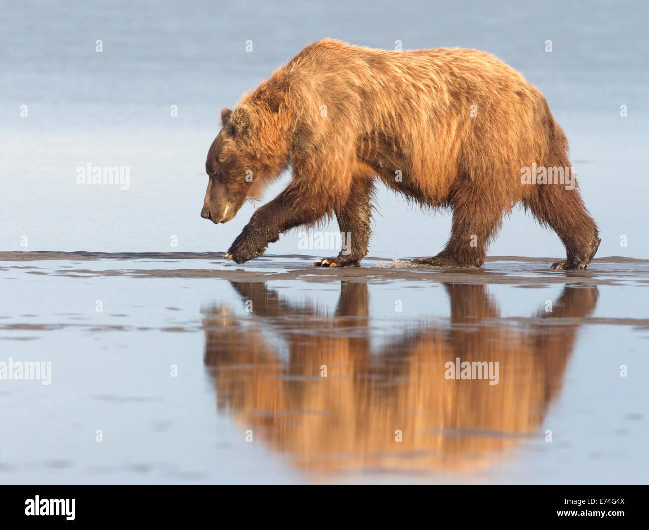 Reflection in wet sand hi-res stock photography and images - Alamy