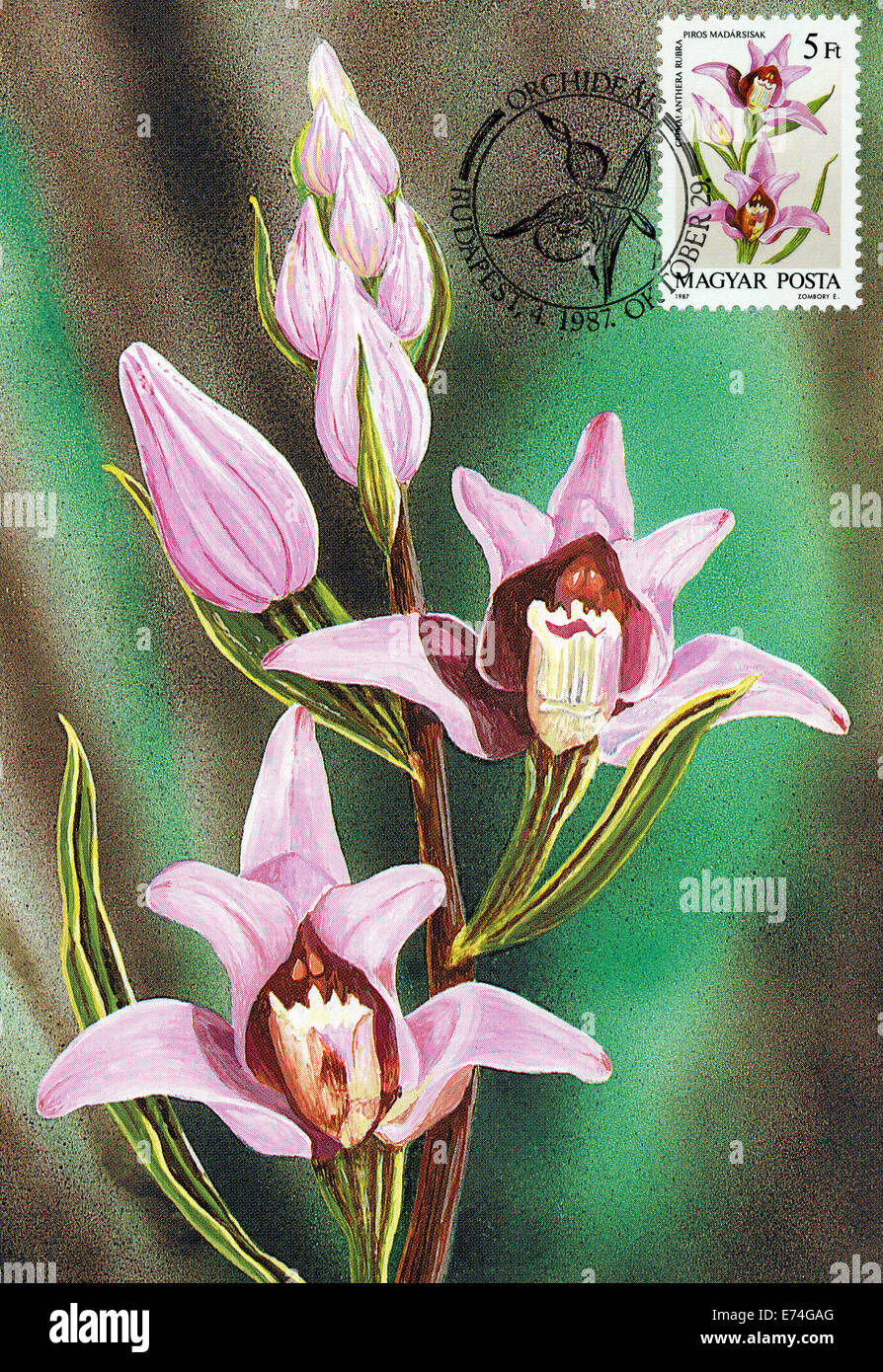 Maxicard hi-res stock photography and images - Alamy