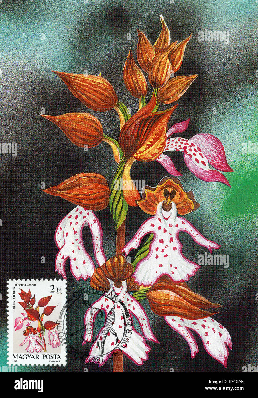 Maximum card hi-res stock photography and images - Alamy