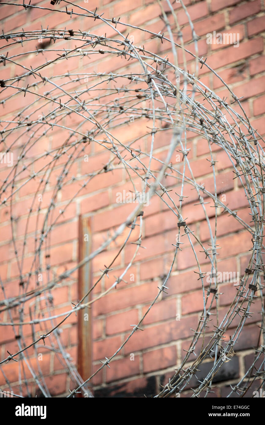 barb wire with red brick wall in background Stock Photo - Alamy