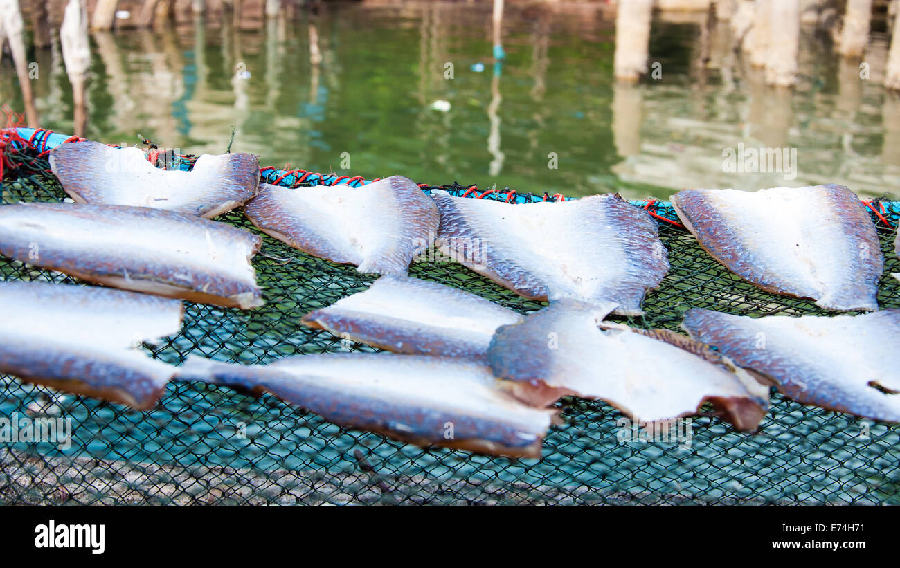 Fish drying in the sun, food background Stock Photo - Alamy