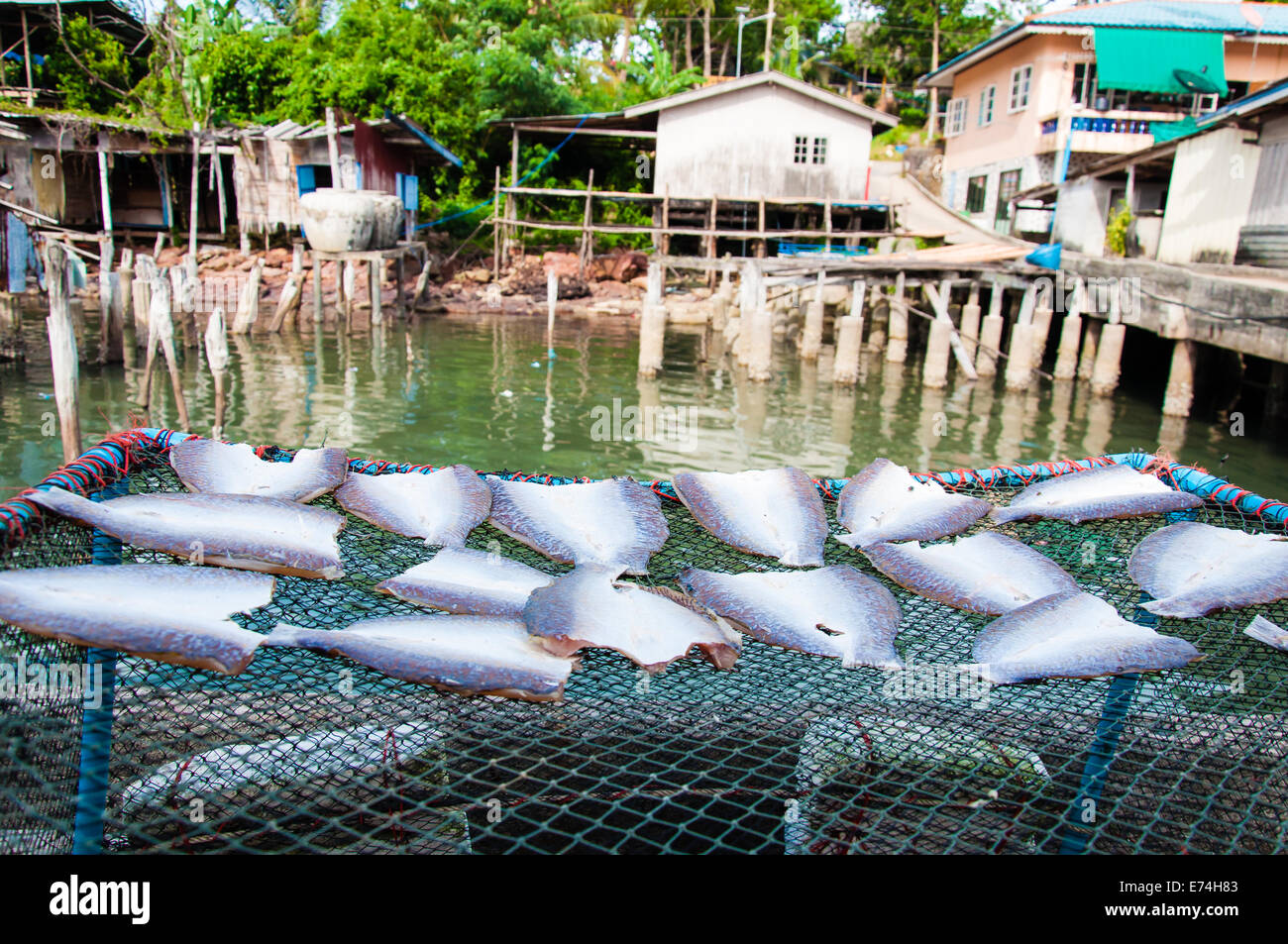 Fish drying in the sun, food background Stock Photo - Alamy