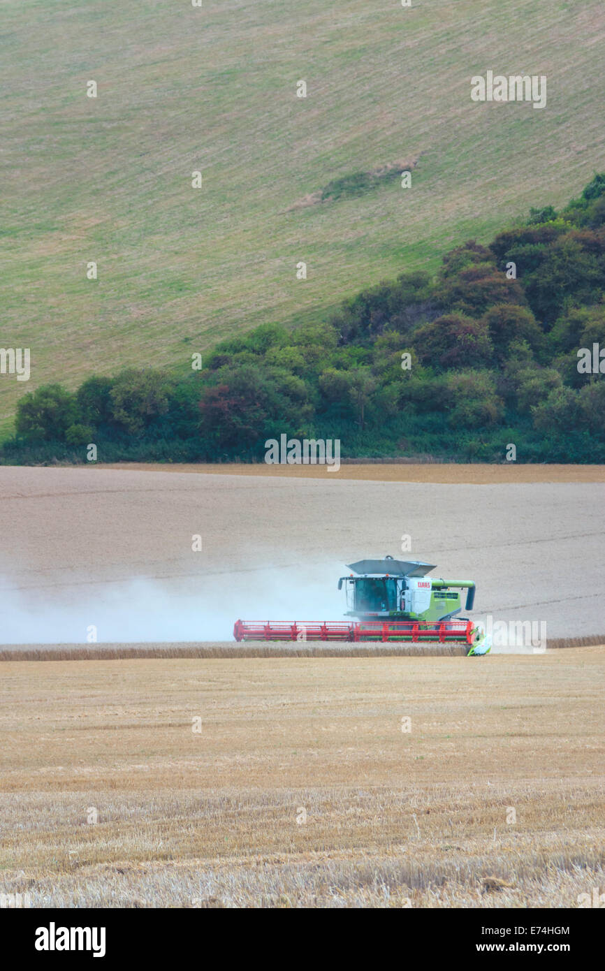 Harvest time in Southern England. Farmers working in the fields to ...