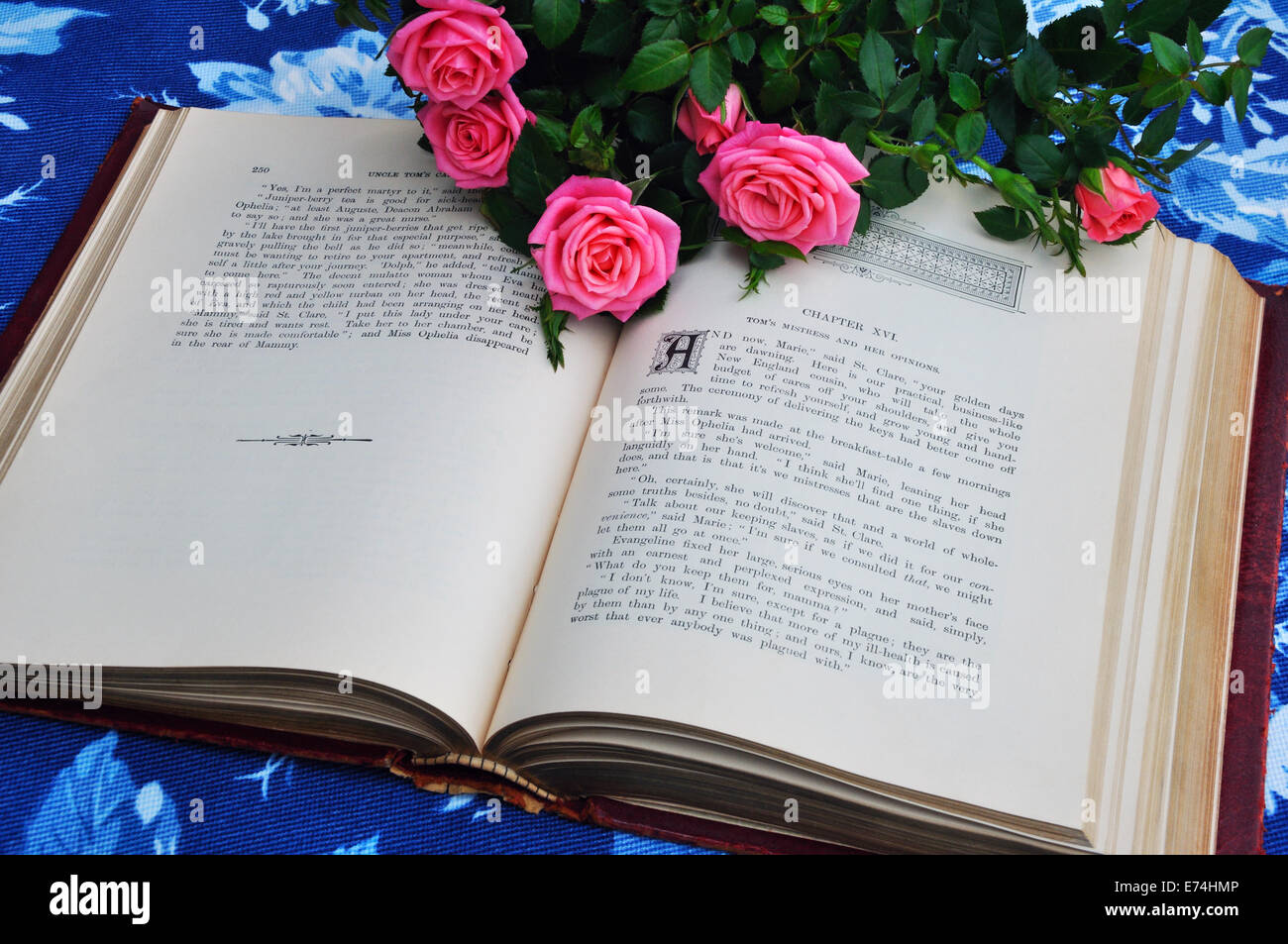 Old book and roses Stock Photo - Alamy