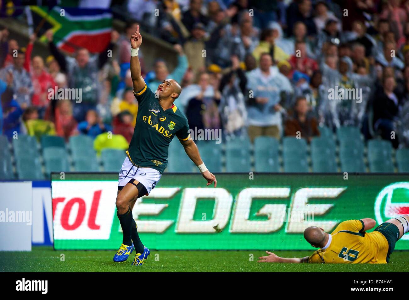 Springboks australia rugby hi-res stock photography and images - Alamy