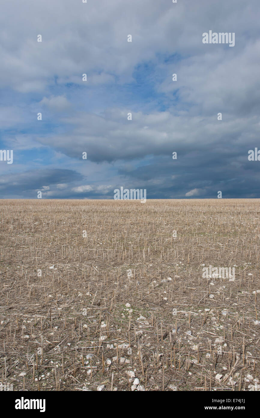 Barren fields and August skies after Wheat has been harvested on the ...