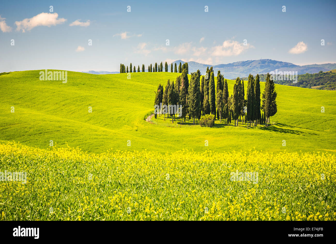 Tuscany at spring Stock Photo - Alamy