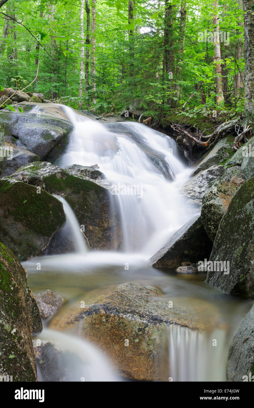 Tributary of Lost River on Mount Jim in Kinsman Notch of Woodstock, New ...