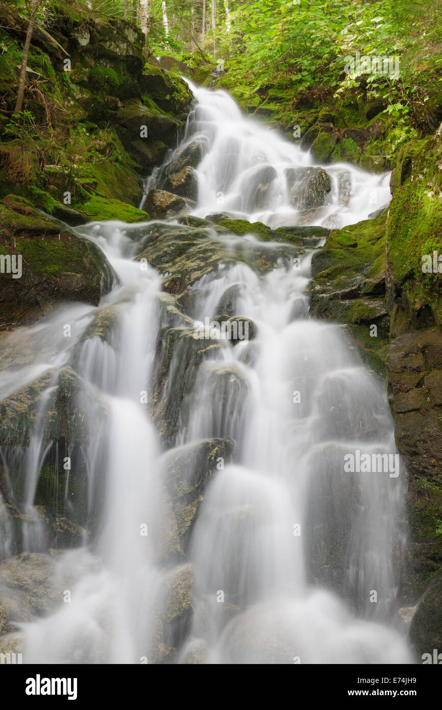 Tributary of Lost River on Mount Jim in Kinsman Notch of Woodstock, New ...