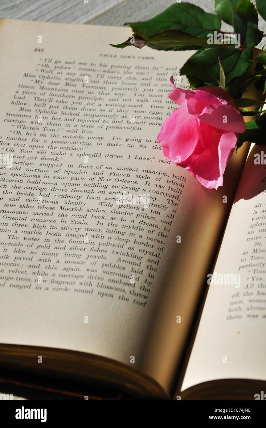 Old book and rose Stock Photo - Alamy