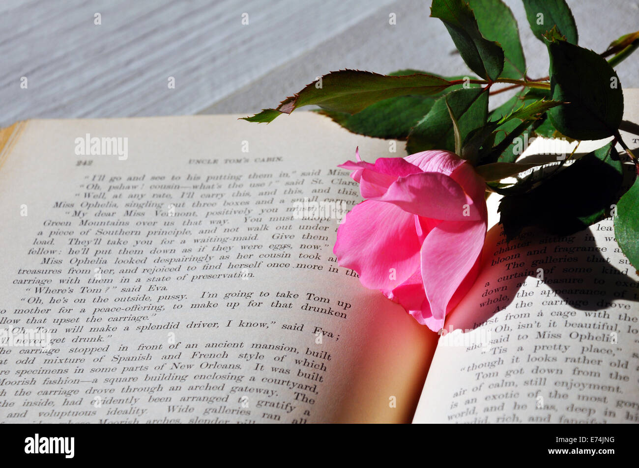 Old book and rose Stock Photo - Alamy
