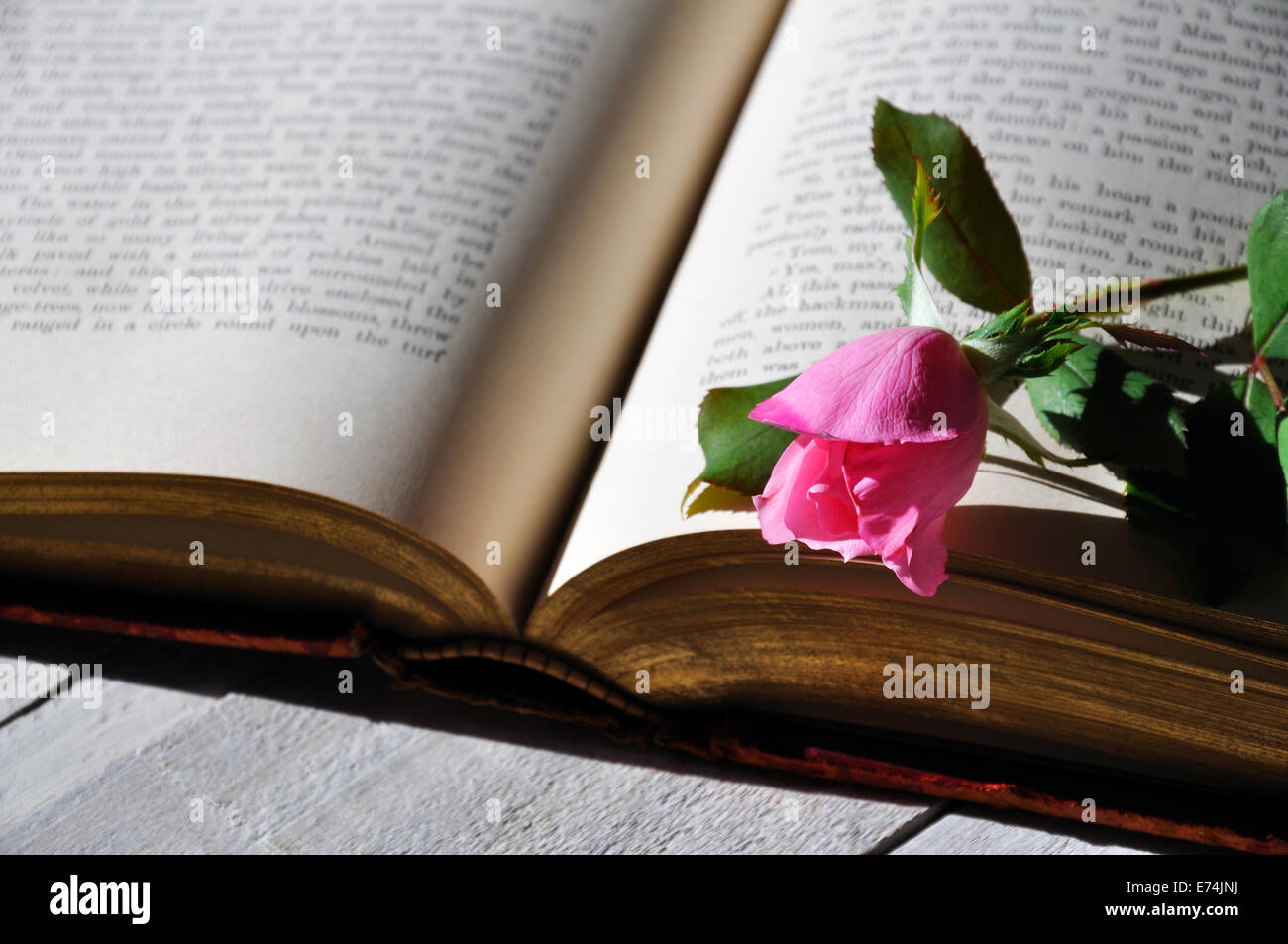 Old book and rose Stock Photo - Alamy