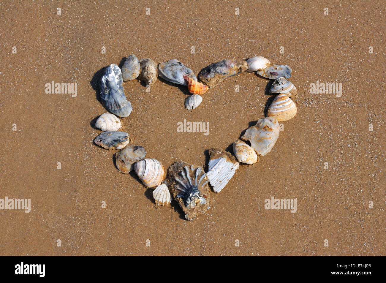 Heart made shells on beach hi-res stock photography and images - Alamy