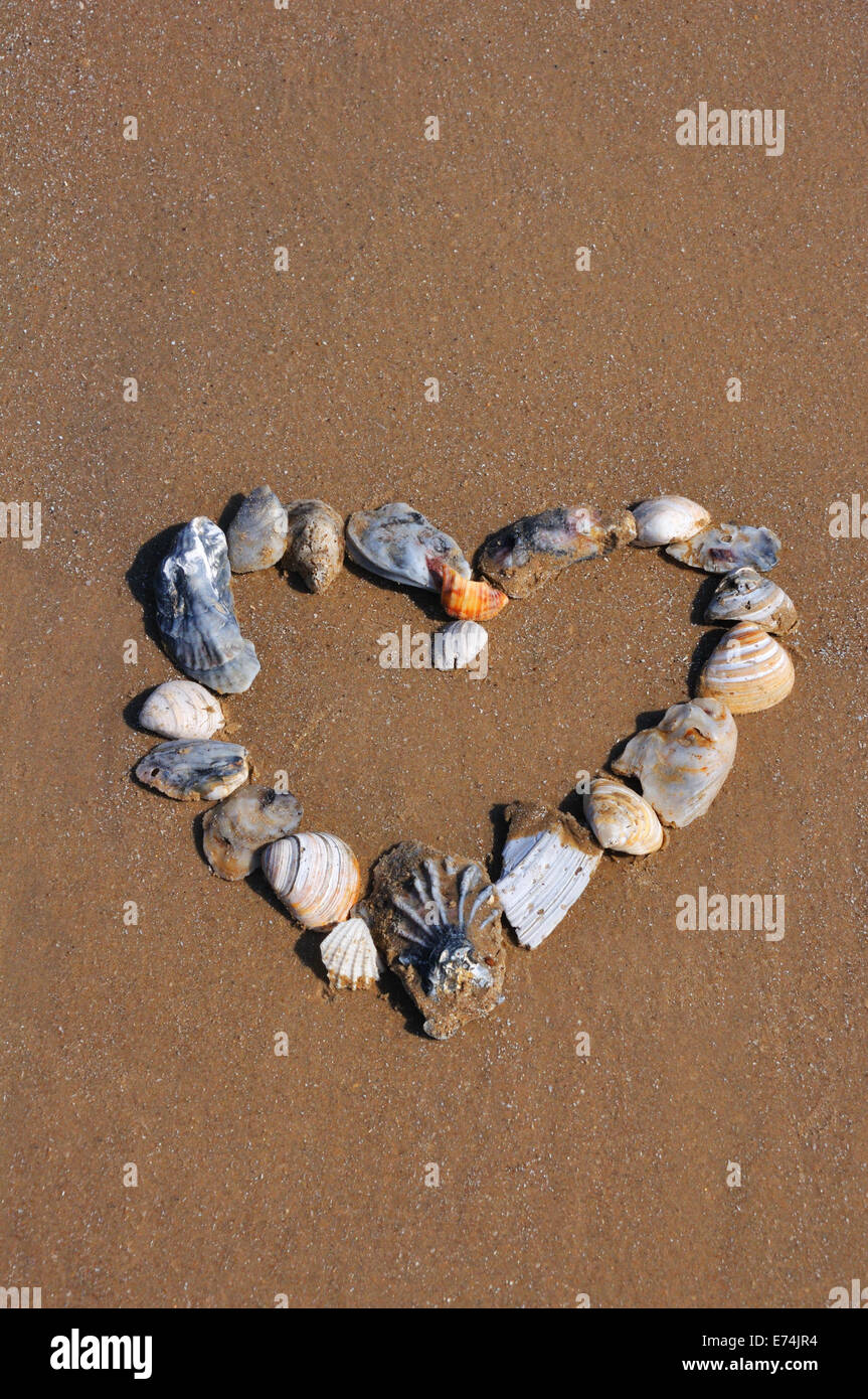 Heart made of shells on beach sand Stock Photo - Alamy