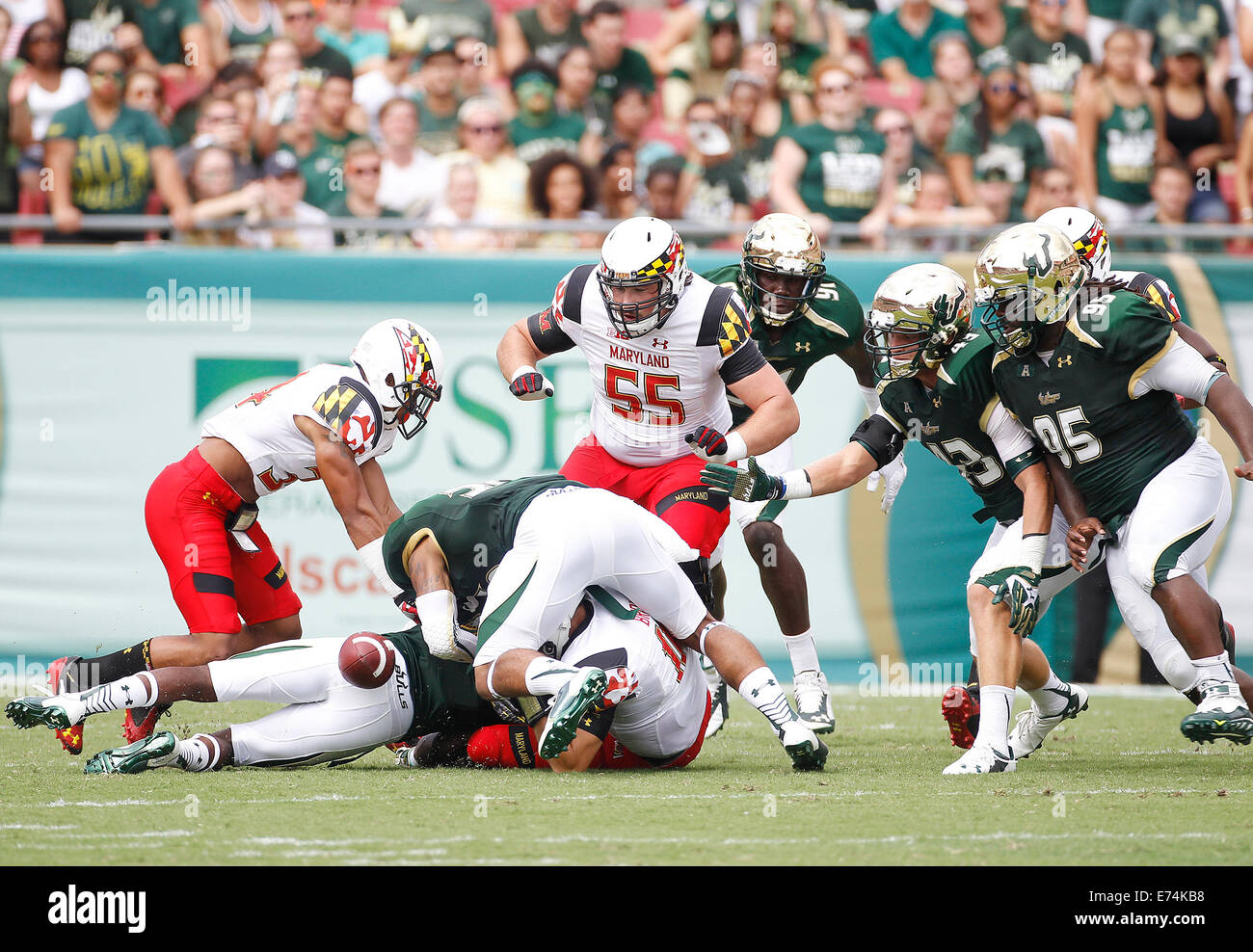 City, Florida, US. 6th Sep, 2014.The Maryland Terrapins offense fumbles ...