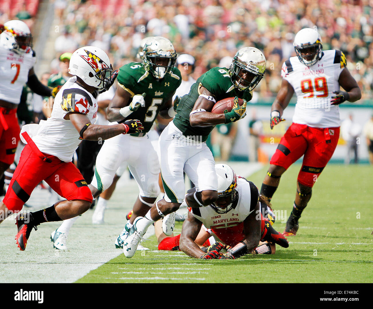 City, Florida, US. 6th Sep, 2014.South Florida Bulls wide receiver ...