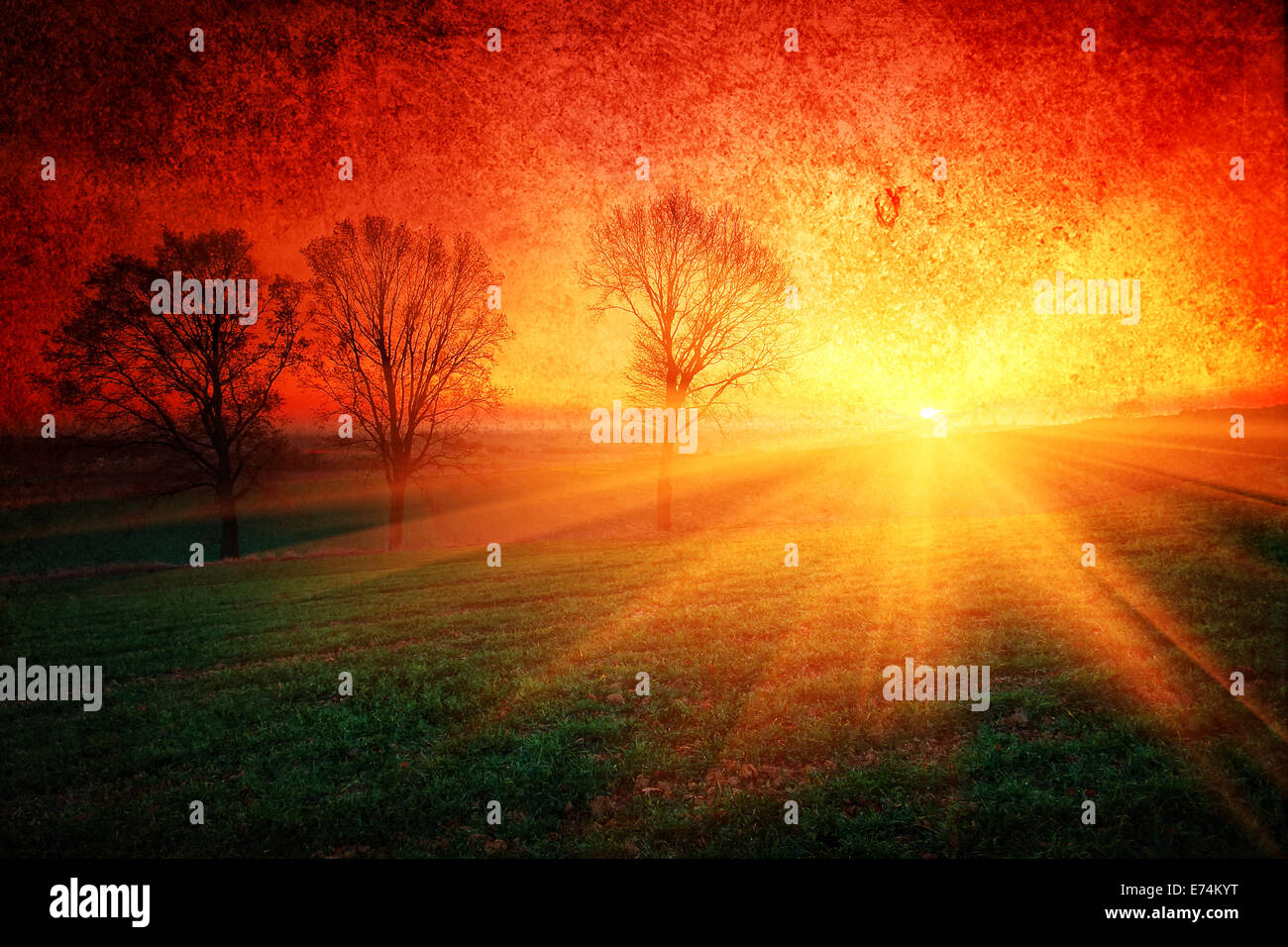 Green fields at sunset in retro style Stock Photo - Alamy