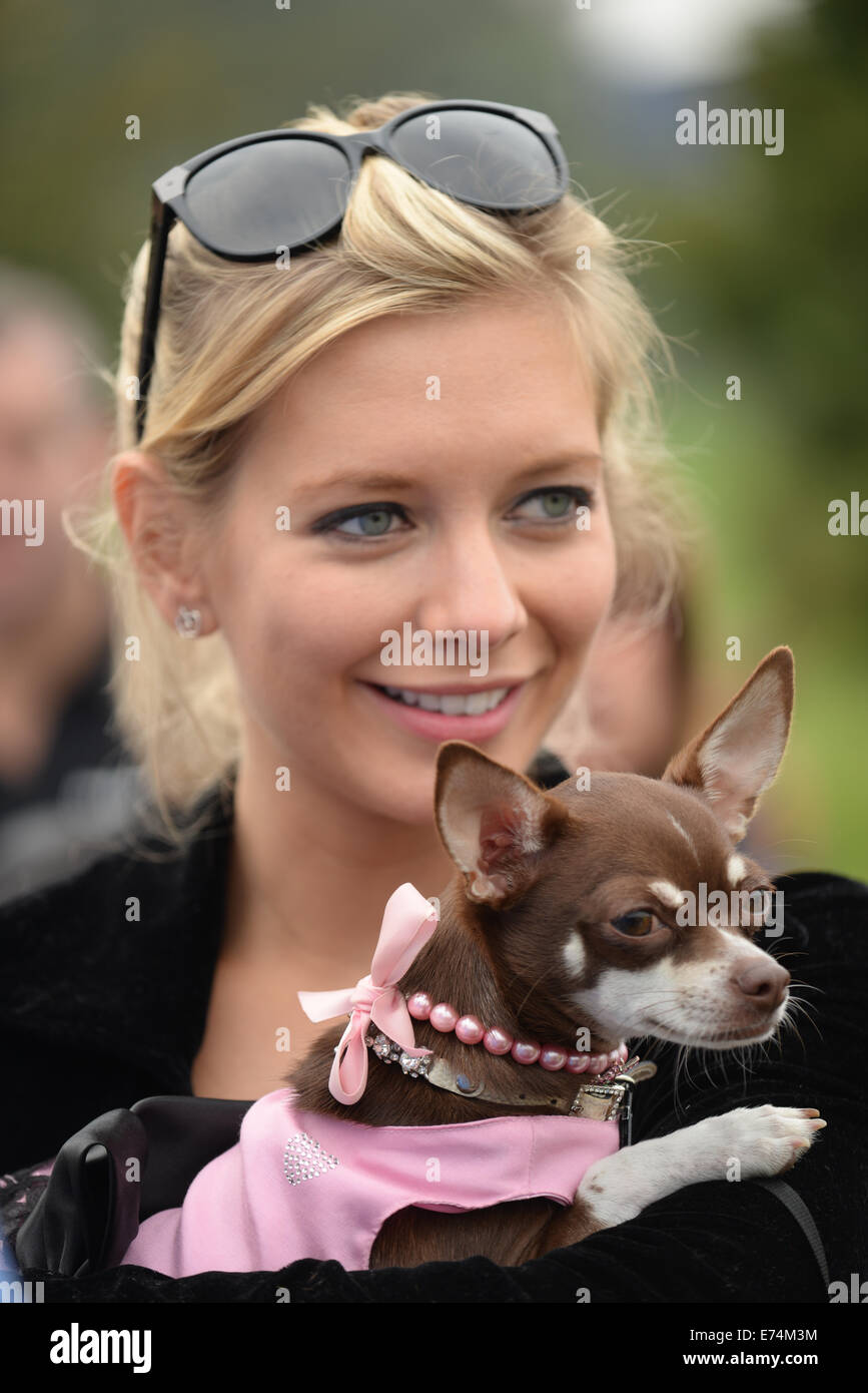London, UK. 6th Sep, 2014. Rachel Riley attends the Pup Aid, the Puppy ...