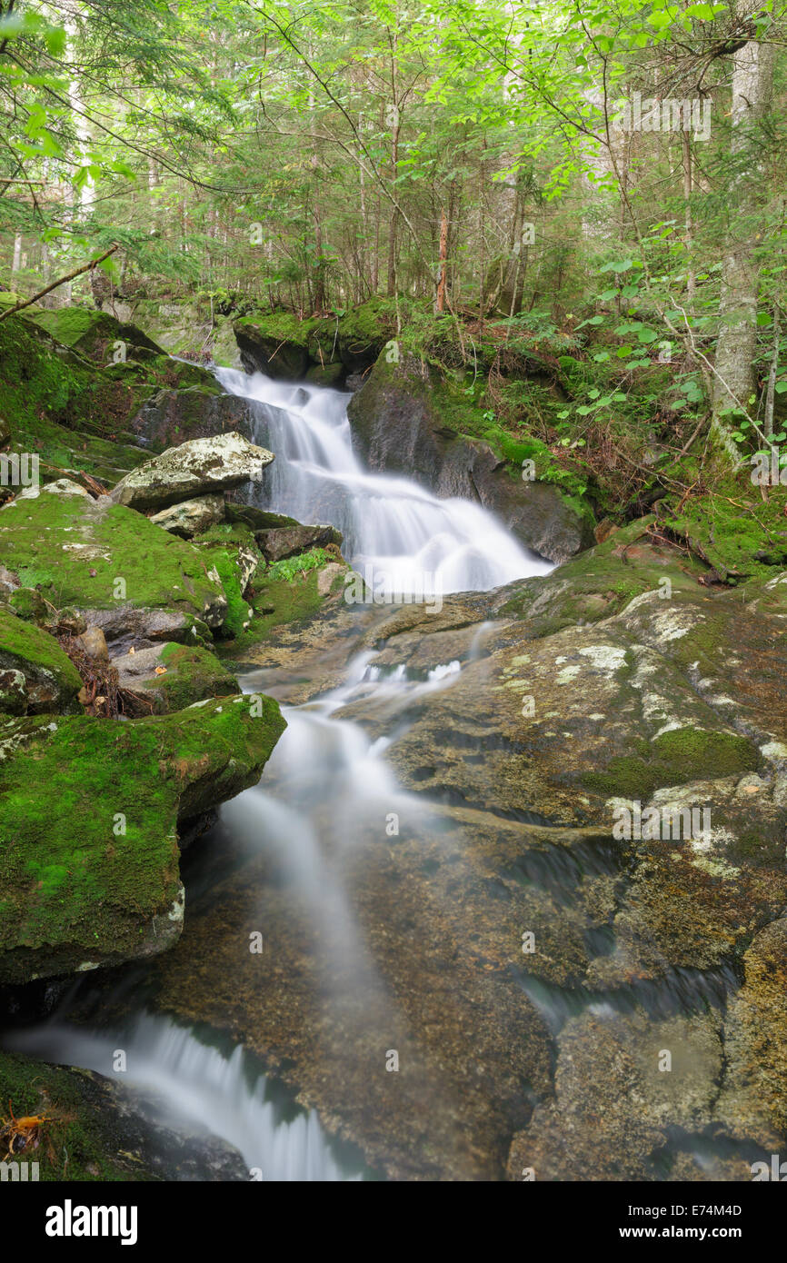 Tributary of Lost River on Mount Jim in Kinsman Notch of Woodstock, New ...