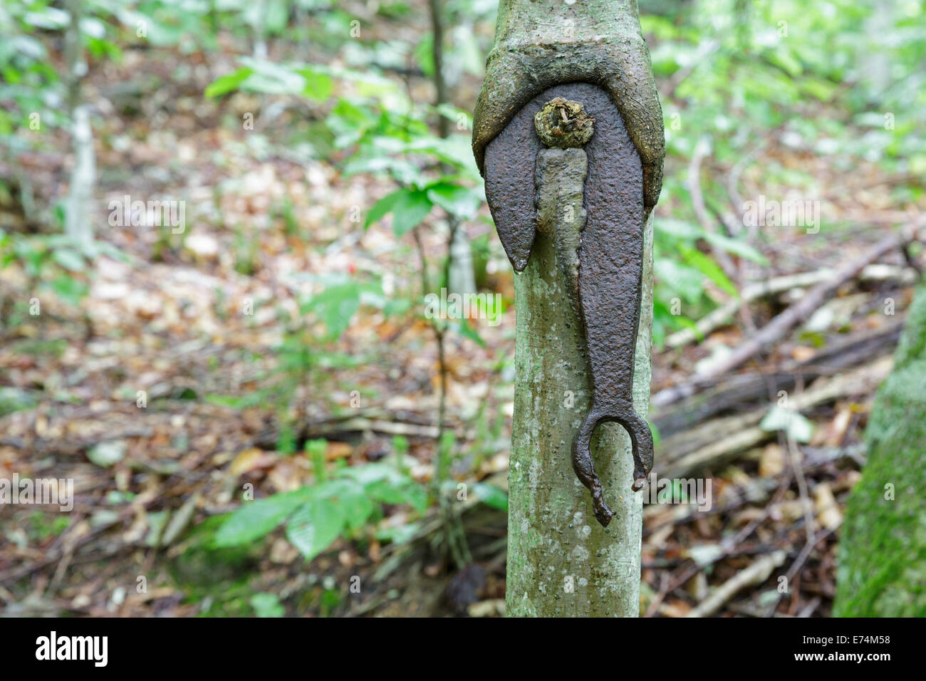 Gordon pond railroad hi-res stock photography and images - Alamy