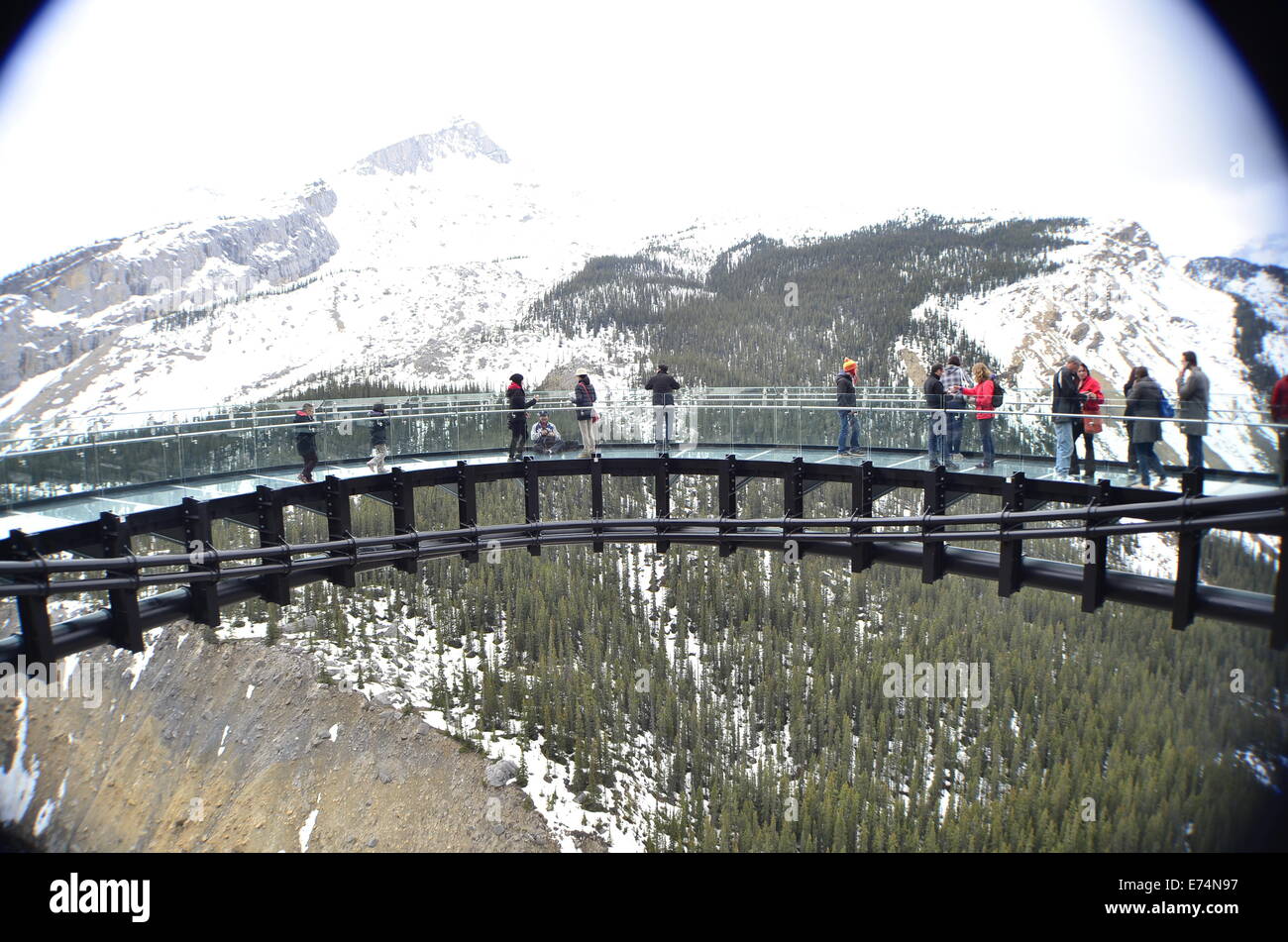 Glacier Skywalk bridge in Jasper banff with see trough glass floor ...