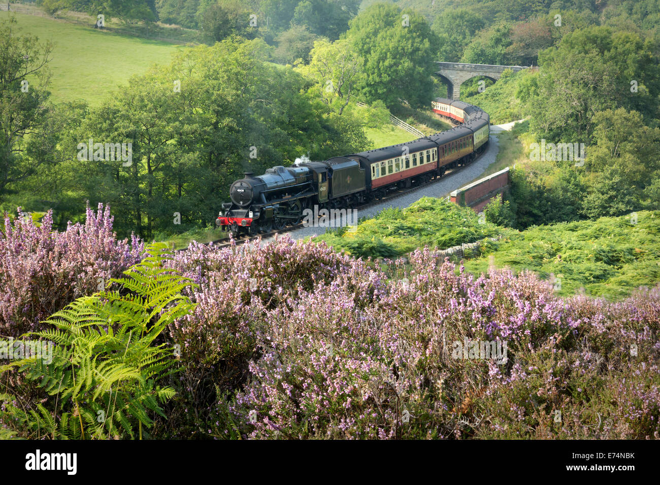 The North Yorkshire Moors Steam Railway line Stock Photo - Alamy