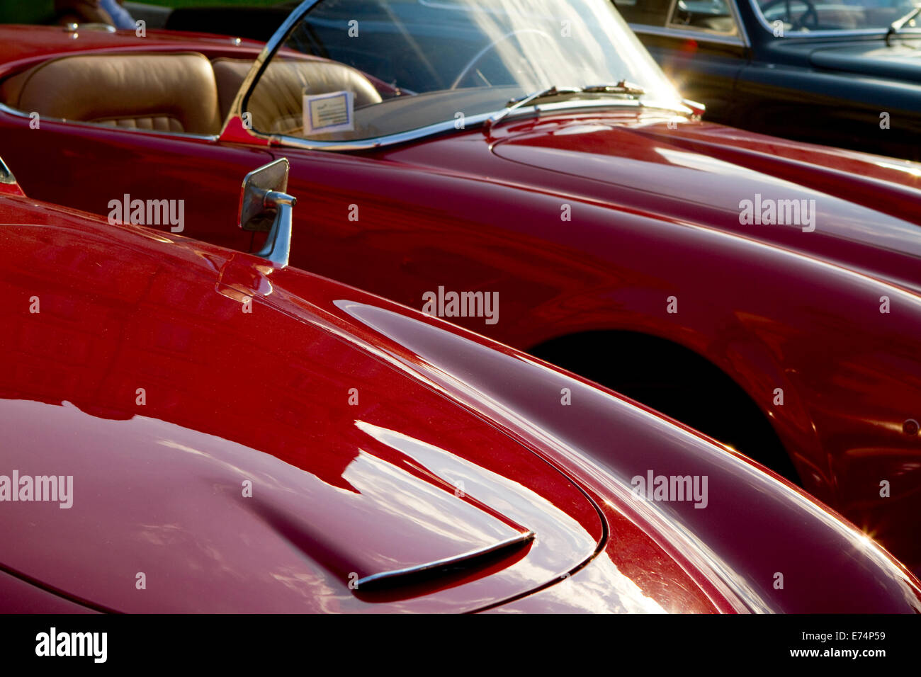 Torino, Italy. 6th September 2014. Detail of red sportscar bonnets ...